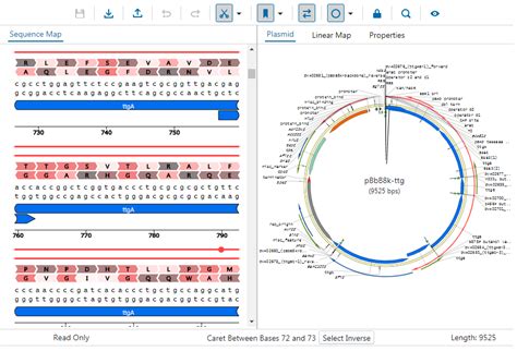 Teselagen S Open Source Vector Editor Component