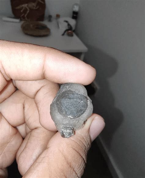 Chalcedony After Fossilized Sponge Pseudomorph Rfossils