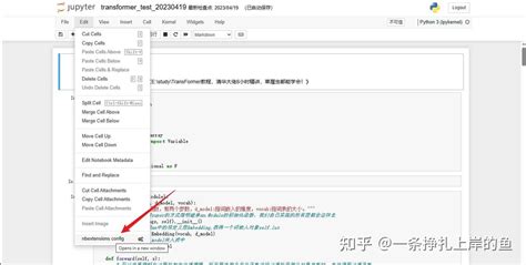 Jupyter的nbextensions不显示图标，缺少merkedjs文件 知乎