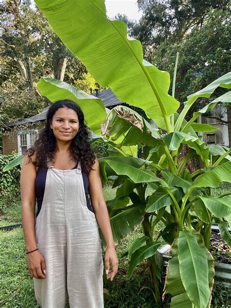 Rooted Life Shreveport La Nextdoor