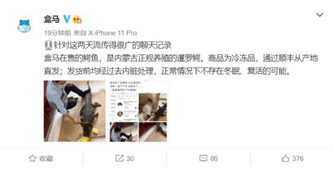 盒马鲜生售卖活鳄鱼假的 所售鳄鱼被砍后复活盒马回应 门店 盈利