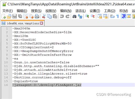 Win10下破解 Idea20212 修改ideavmoptions 导致idea 无法启动win10 Vmoptions Csdn博客