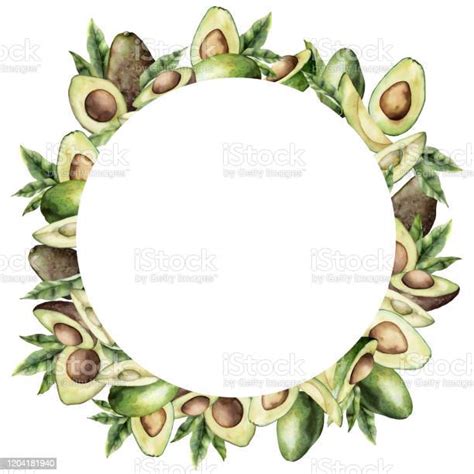 아보카도 슬라이스와 잎 수채화 여름 테두리 흰색 배경에 고립 된 열대 과일이있는 손으로 그린 카드 디자인 인쇄 직물 또는 배경꽃 우아한 그림 0명에 대한 스톡 벡터 아트 및