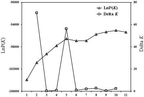 modeling of cluster numbers for asian pears using structure