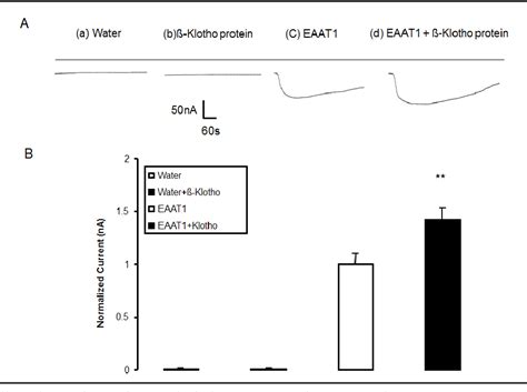 Choroid Plexus Of Cerebral Hemisphere Semantic Scholar