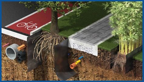 Prevent Tree Root Intrusion Key Techniques