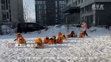 新华全媒 从尔滨到南宁东北老铁与广西老友的双向奔赴 广州日报大洋网