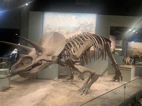 Fengsuo Zhou On Twitter Field Museum