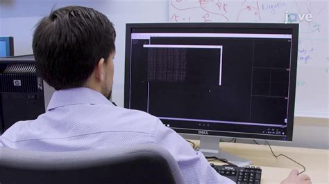 비디오 Neuron Spiking Activity에 의한 폐쇄 루프 자극 유발 실험