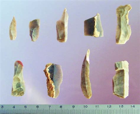 Flint Artefacts Blades And Their Fragments Photo By E Šatavičius Download Scientific Diagram