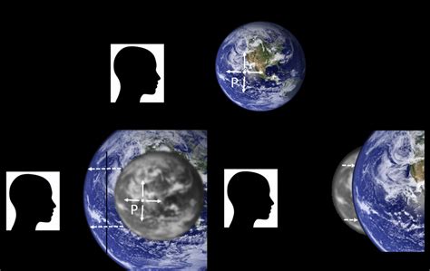 Importance Of Cursor Position During Scale Operation Download Scientific Diagram