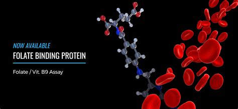 Anemia And Metabolism Folate Binding Protein