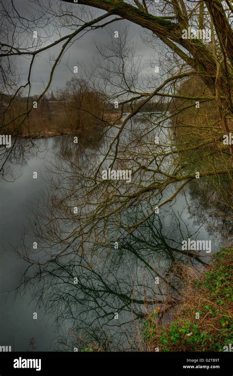 Trees And River Stock Photo Alamy
