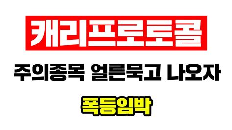 캐리프로토콜 긴급 이번주는 주의종목 딱지 없으면 명함도 내밀지 말라전해라~ㅣ코인시황전망분석 비트코인 캐리프로토콜