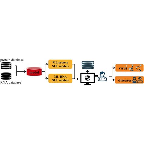 A Review From Biological Mapping To Computation Based Subcellular Localization Molecular