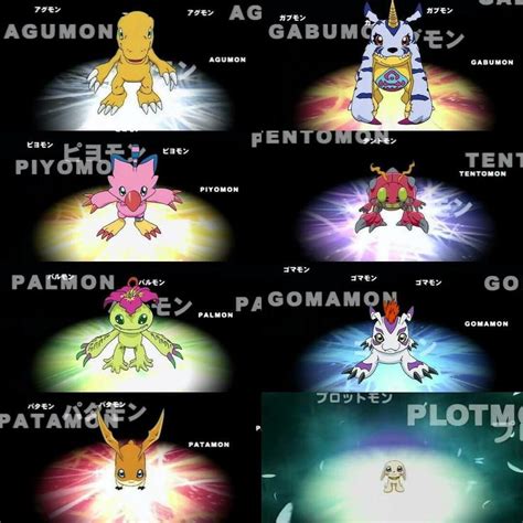 Rookie Level Digimon Digimon Digimons Dinossauro Rei