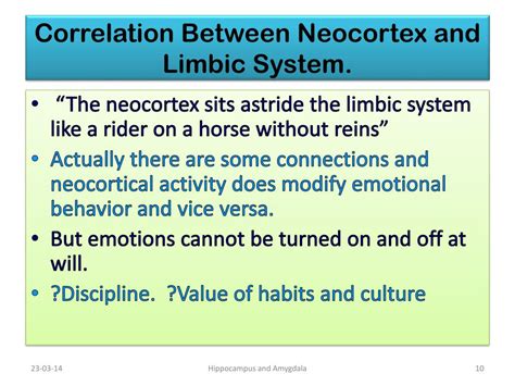 PPT Limbic System Hippocampus And Amygdala PowerPoint Presentation ID