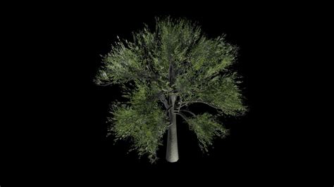 Procedural Tree 3d Model Cgtrader
