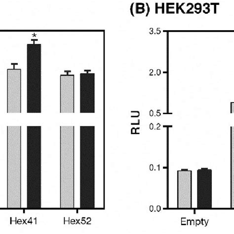 Luciferase Reporter Assay To Assess Cort Dependent Transactivation Of