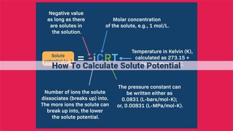 Understanding Solute Potential Ψs Its Role in Plant Water Relations and Environmental Response