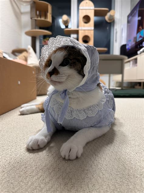 Ahneun9 안은지 작성글 Velog