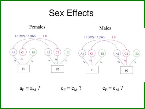 Ppt Gene Environment Interaction And Correlation Powerpoint