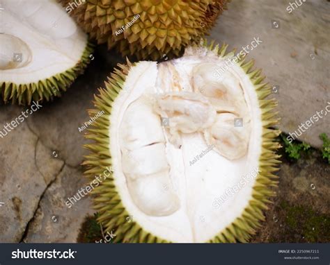 Buah Durian