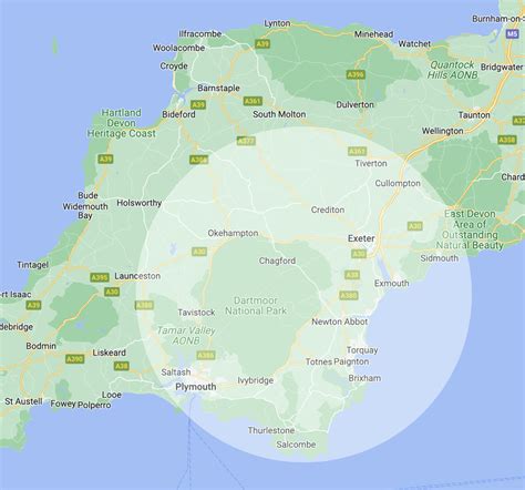 AJ Paine Sons Tree Surgeons Of Devon Our Services