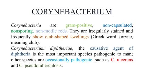 Corynebacterium Diphtheriae Diphtheria Gpb Pptx Ear Nose And Throat Conditions Diseases