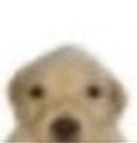 Gacha Sexy By Beatrixx