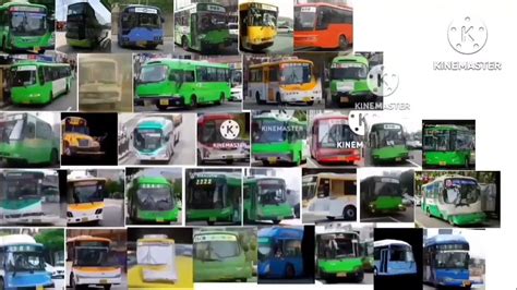 버스들이 엄청난리난 버스들 스폰지밥 Youtube