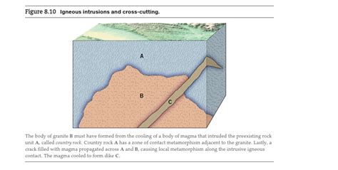 Solved 1 What Index Fossils From Fig 8 13 Are Present 2 Chegg Com