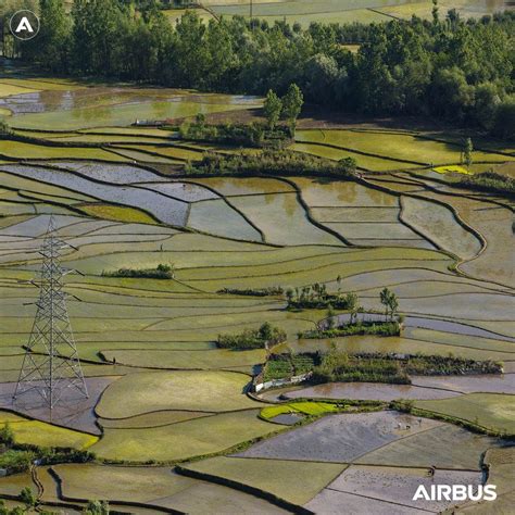 Subhasish Nath Posted On Linkedin