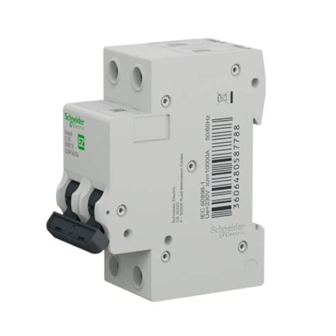 Interruptor Termomagnético Riel Din Curva C Easy9 2p 50a Schneider Electric Interruptores