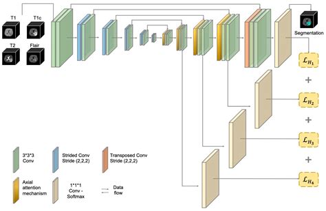 Axial Attention Convolutional Neural Network For Brain Tumor