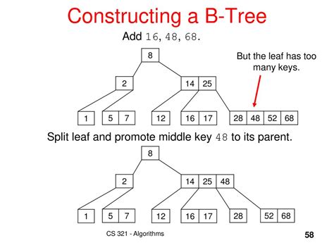 B Trees Stephen R Covey Ppt Download