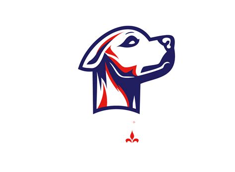 Portrait Félix Correia Losc Un Début De Carrière Entre Doutes Et