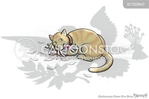 Campaign Hacking Cartoons And Comics Funny Pictures From Cartoonstock