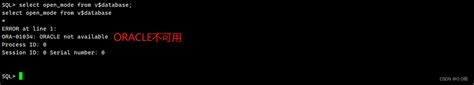 Linux下启动关闭oraclelinux启动oracle Csdn博客