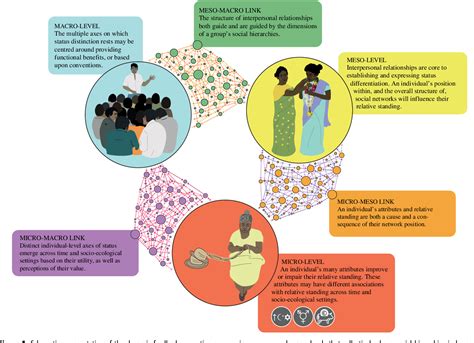 Figure 1 From Social Hierarchies And Social Networks In Humans Semantic Scholar