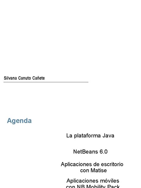 Tecnologias De Java Usando Netbeans Pdf Java Plataforma De Software Frijoles Netos