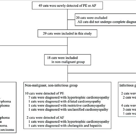 Flowchart Of The Case Selection Process Pe Pleural Effusion Af