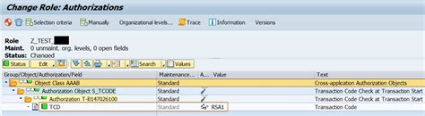 Pfcg Roles Authorizations Part Ii Sap Authorization Universe