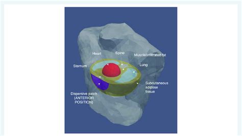 Elements Of The Computational Model And Their Relationship With The Download Scientific Diagram