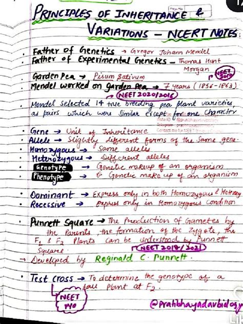 Principles Of Inheritance Notes Pdf