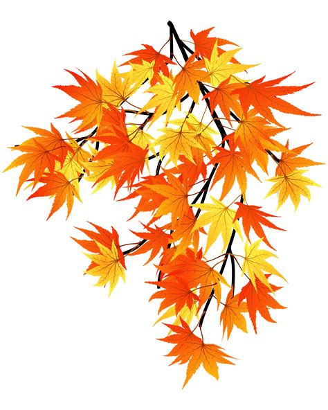 Fall Tree Vector At Getdrawings Free Download