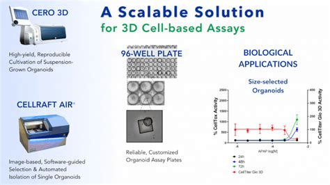 Cell Microsystems On Linkedin 3dcells Organoidresearch Cellraft Cero