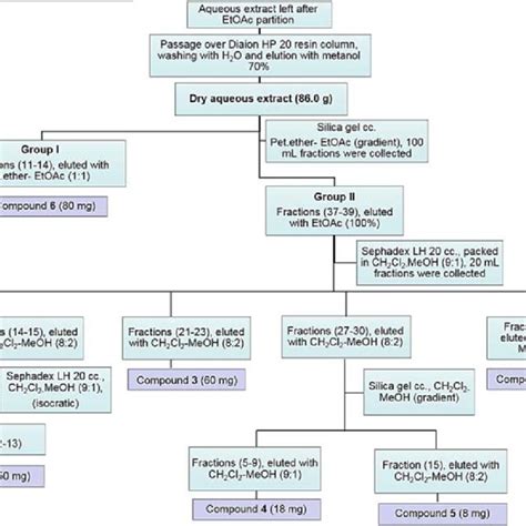 Isolation Scheme Of Compounds 1 6 From The Aqueous Extract Left After Download Scientific