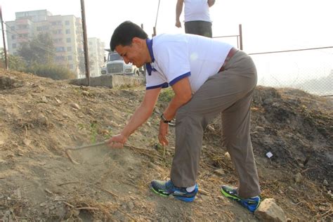 Tree Plantation Programme