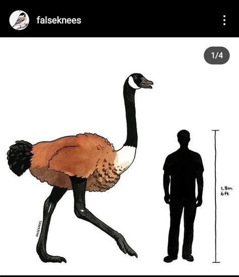 Newly Released Artists Rendering Of Ongoing Project In The Biology